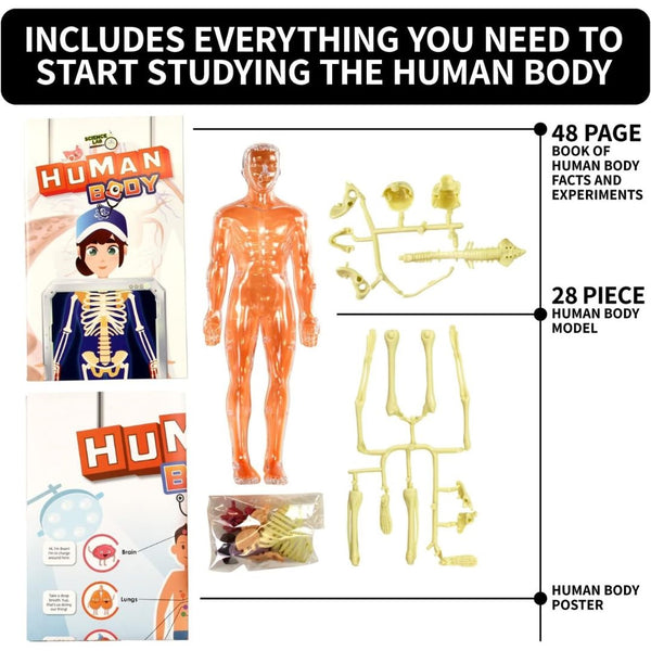 SpiceBox Science Lab Human Body Kit – JouéClub